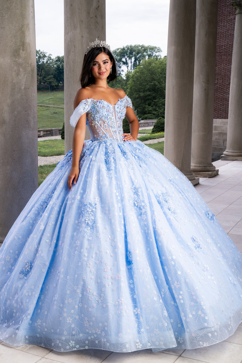 Blue Quinceañera Dresses | Blue Quince Dresses | AmaBella